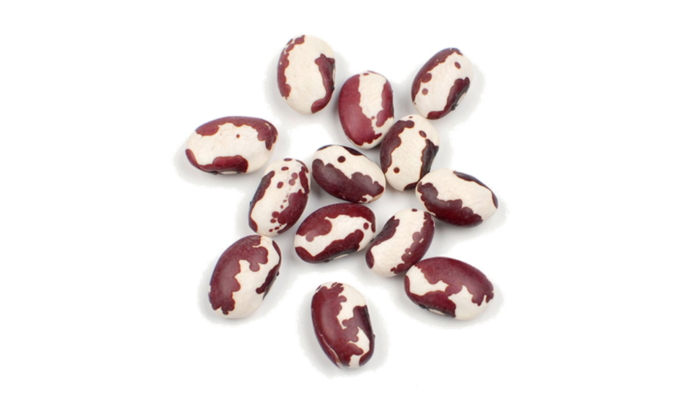 Anasazi Beans – Pepper Creek Farms